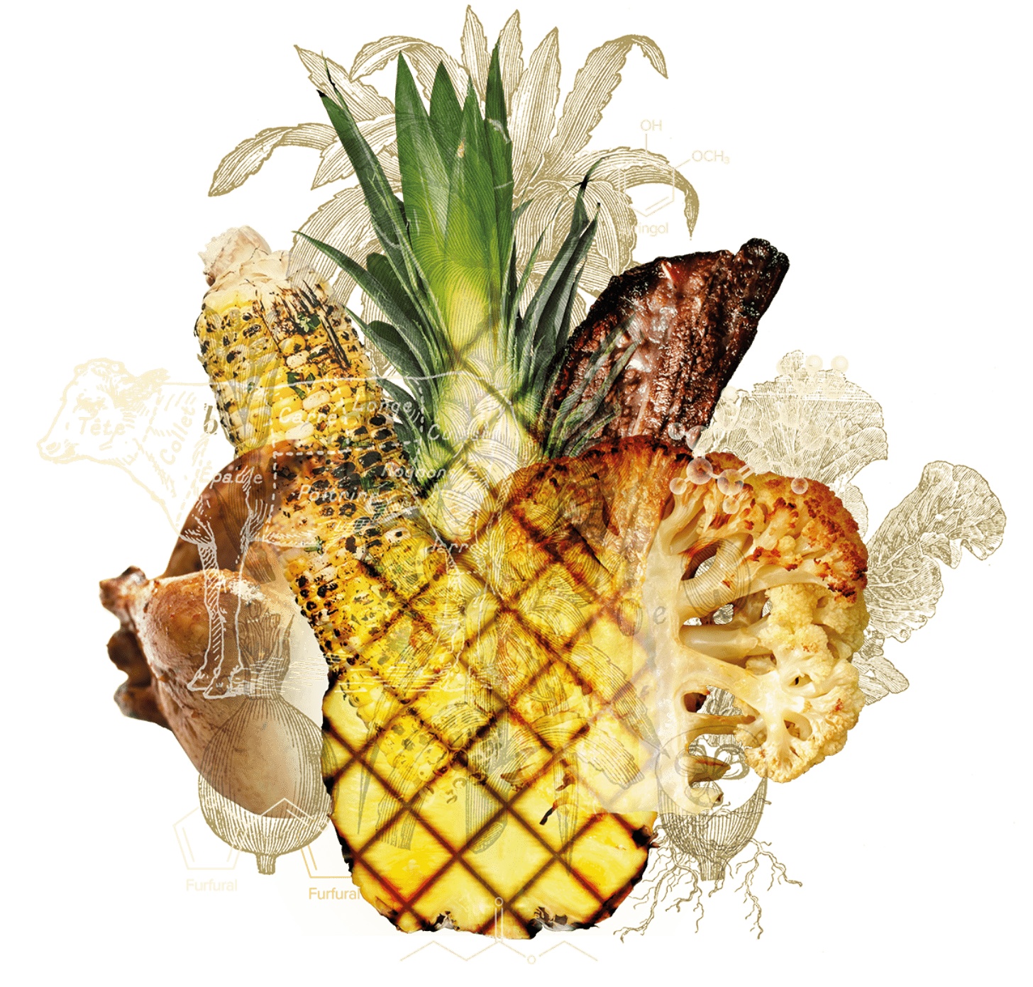 About Besmoke | Revolutionising Clean Smoke Flavourings