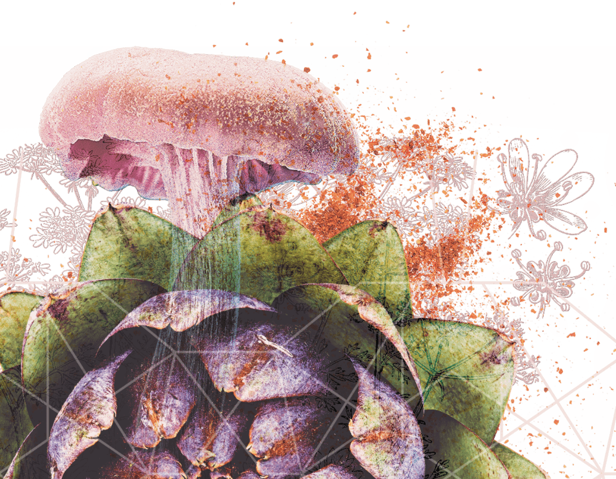 Global Suppliers of Clean Smoke & Grill Flavours | Besmoke