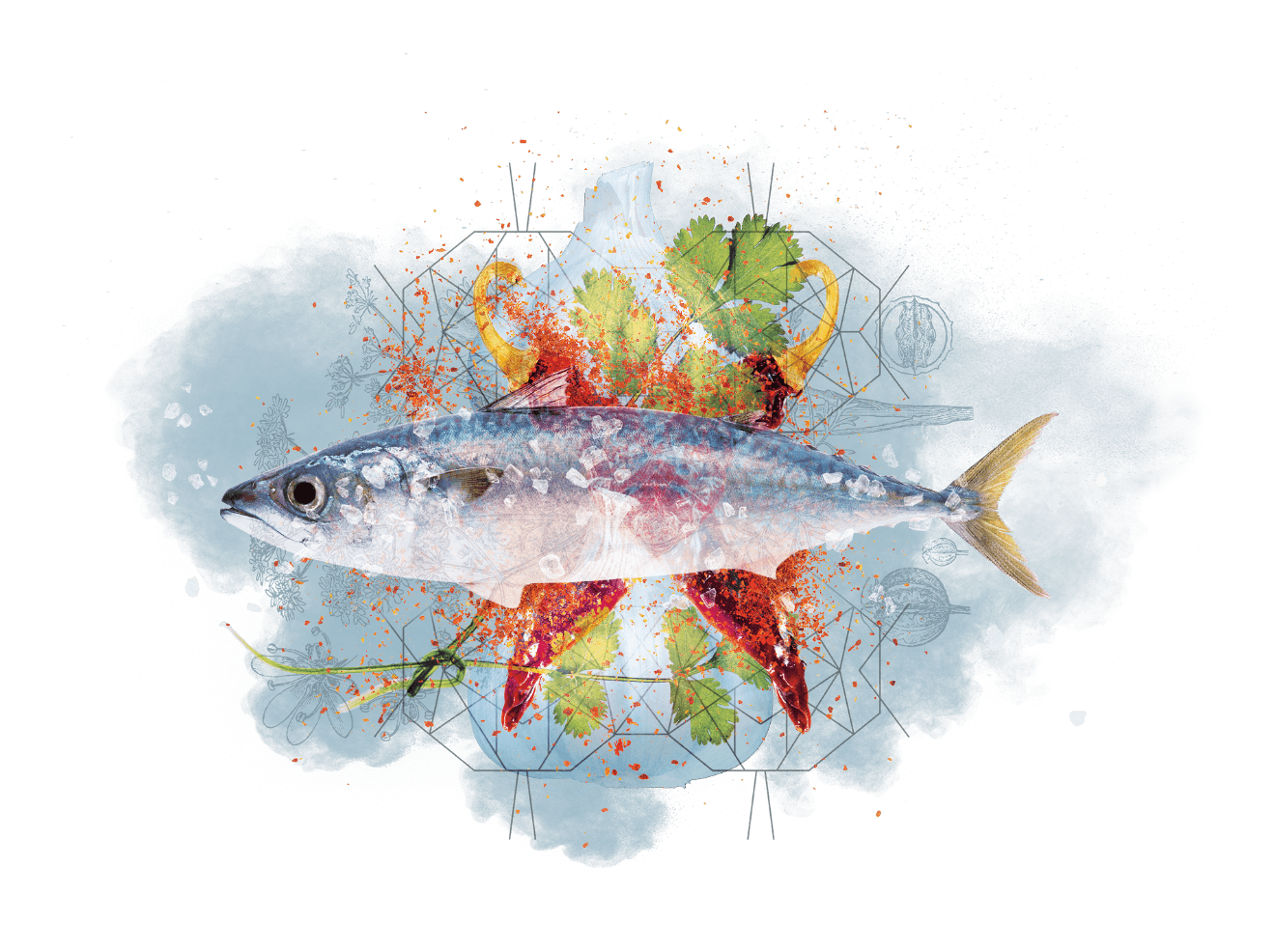 Our flavours | Besmoke