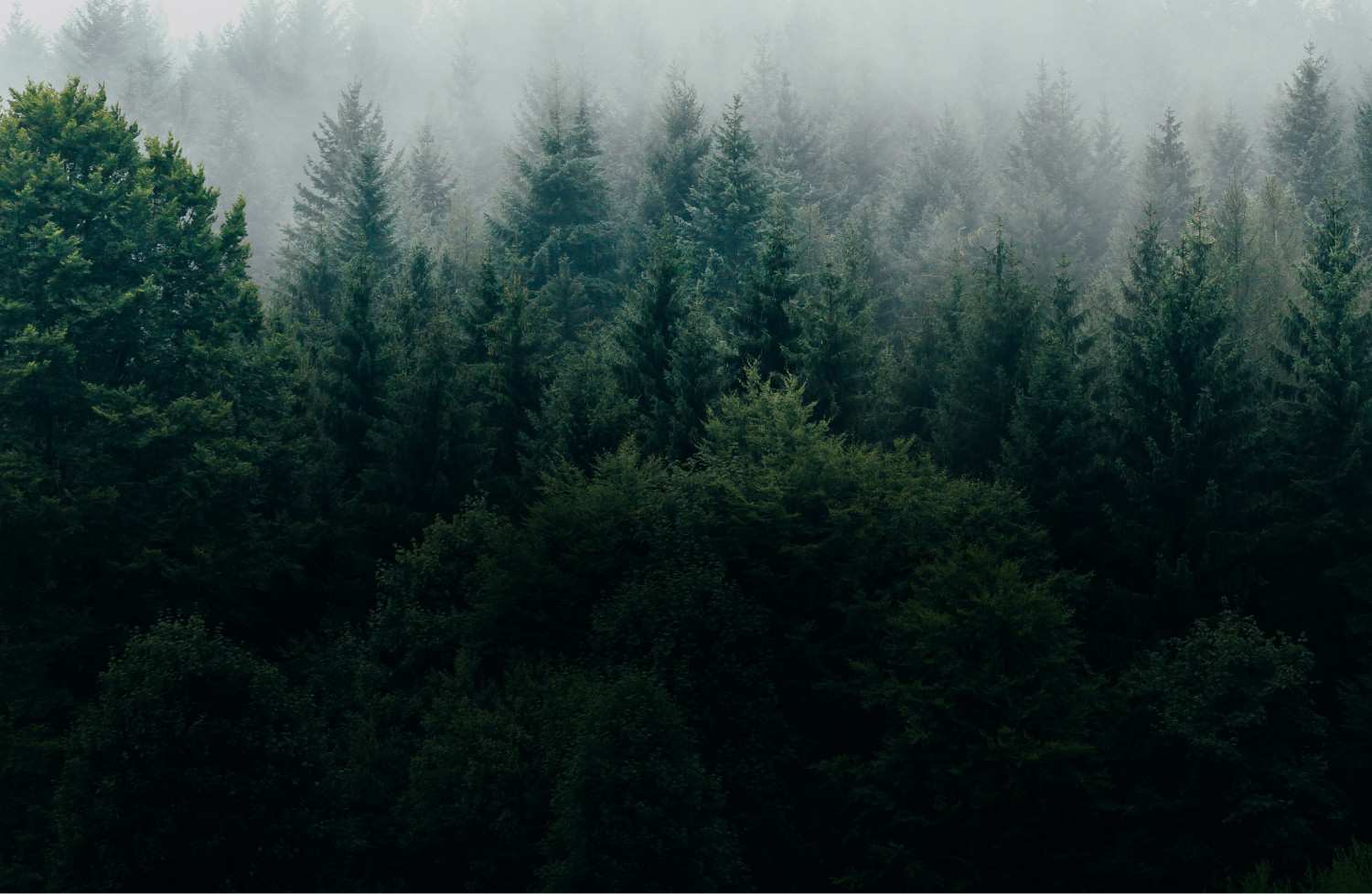 Smoke Solutions | Besmoke’s Clean & Delicious Smoke Flavours